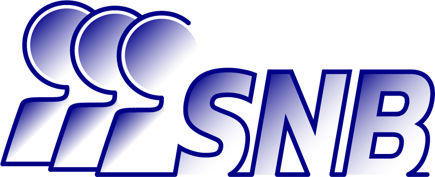 Financial Literacy - SNB